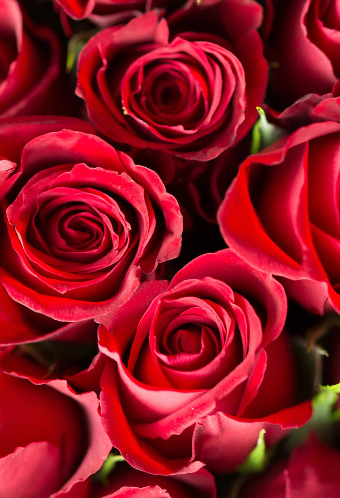 New Job Order | Intuitive Solution Group